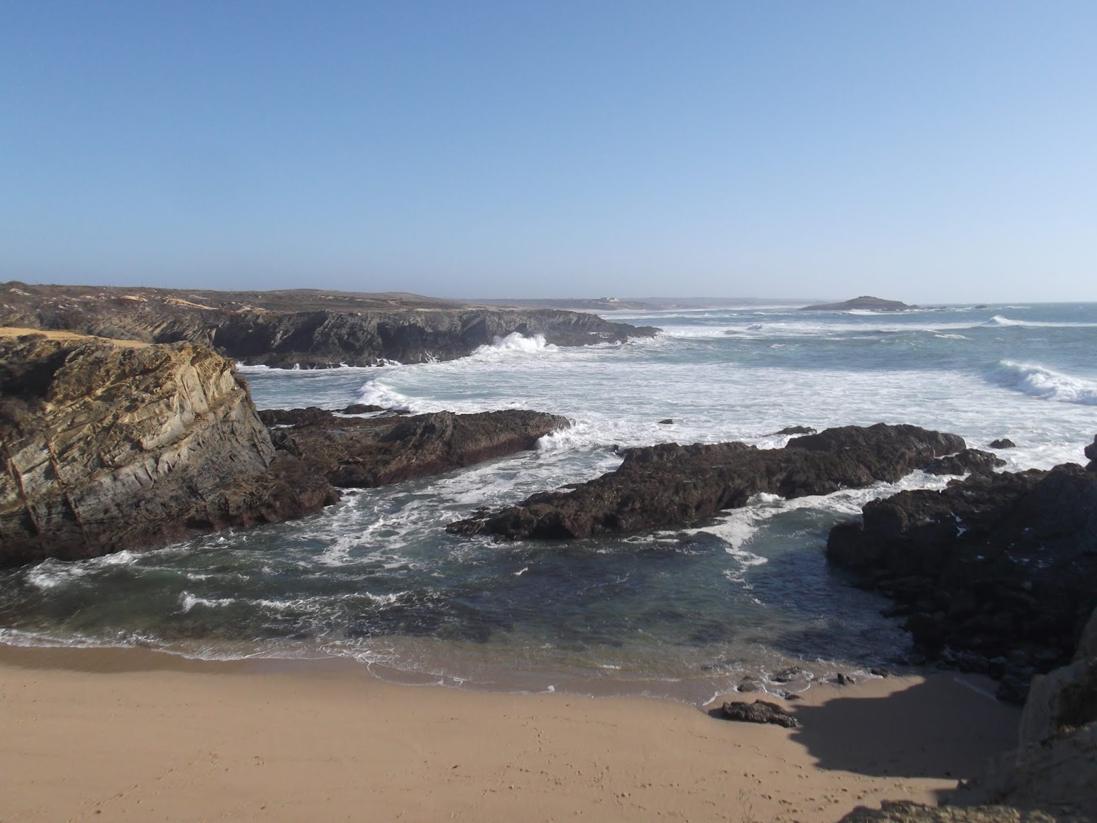 Chá de Limonete: 2019