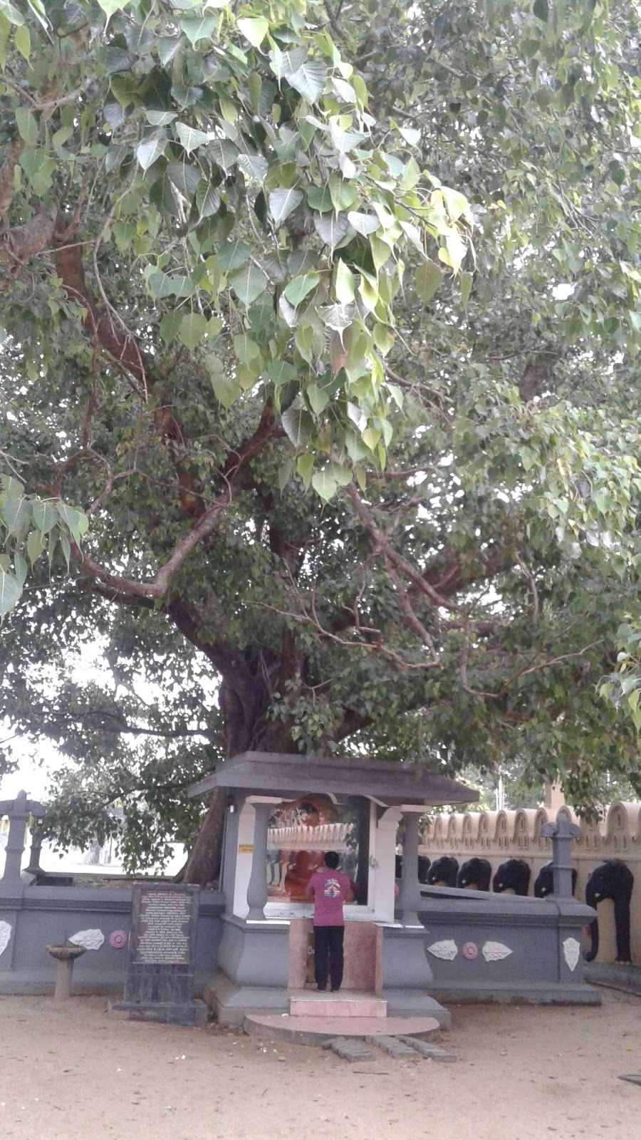 Ampara - Visit to Digamadulla