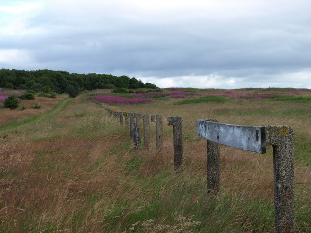 The Apprentice Jockey: Remnants of the past - Bogside Racecourse