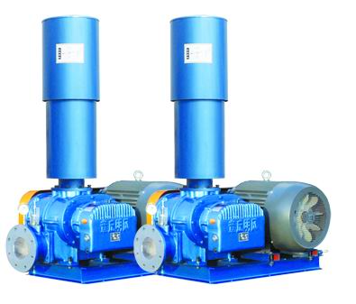 Giới thiệu về máy thổi khí kiểu Roots blower