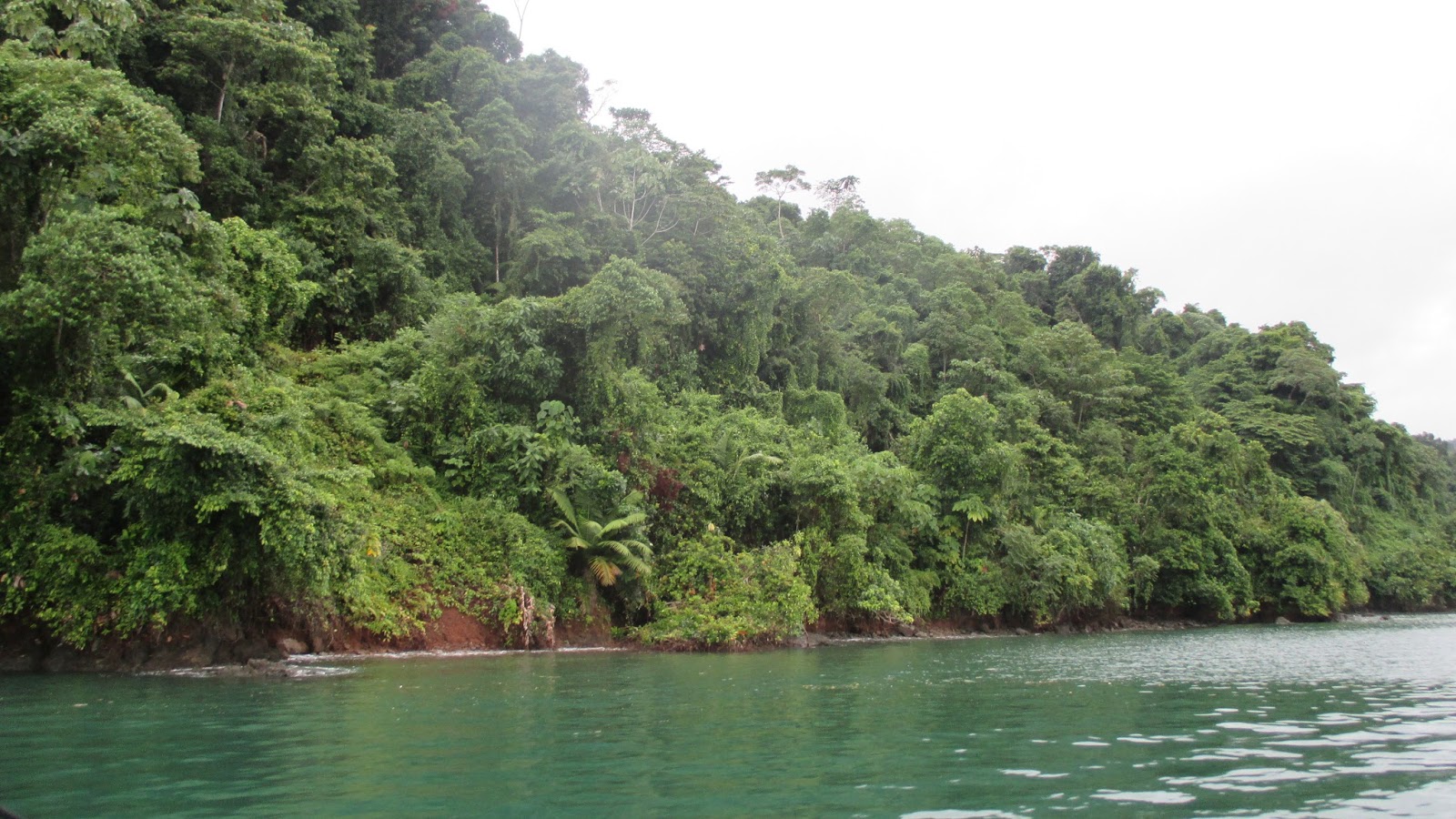Playa Huina, Bahía Solano