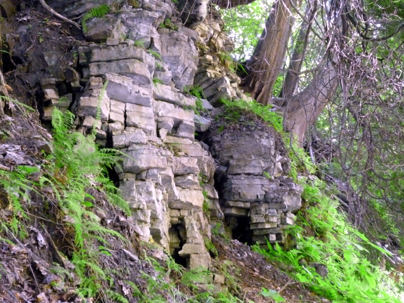 Metalchaos Studio: Blood Imps hunting for Giant Skull Scarab