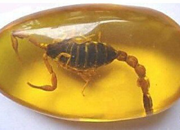 Cosas de niños para la escuela: EL ÁMBAR Y SUS USOS