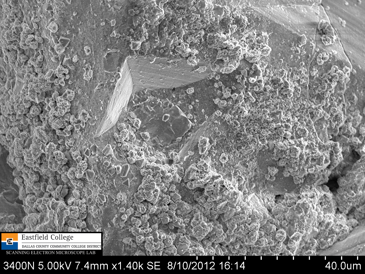 Scanning Electron Microscope Blog: Geology on a small scale