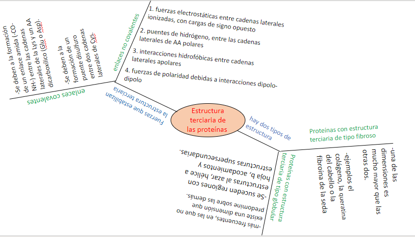 Estructura terciaria de las proteinas