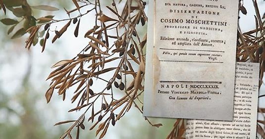 Biokipos: ΝΕΑ απο το μέτωπο για την xylella fastidiosa και τα μυστήρια της