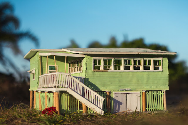 Artereal Gallery: ANNA CAREY / FRANKIE MAGAZINE