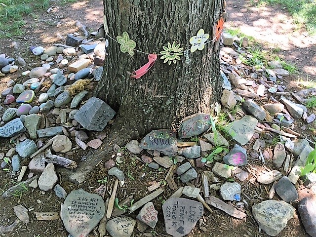 Ramblin' with AM: The Message Tree #ThursdayTreeLove