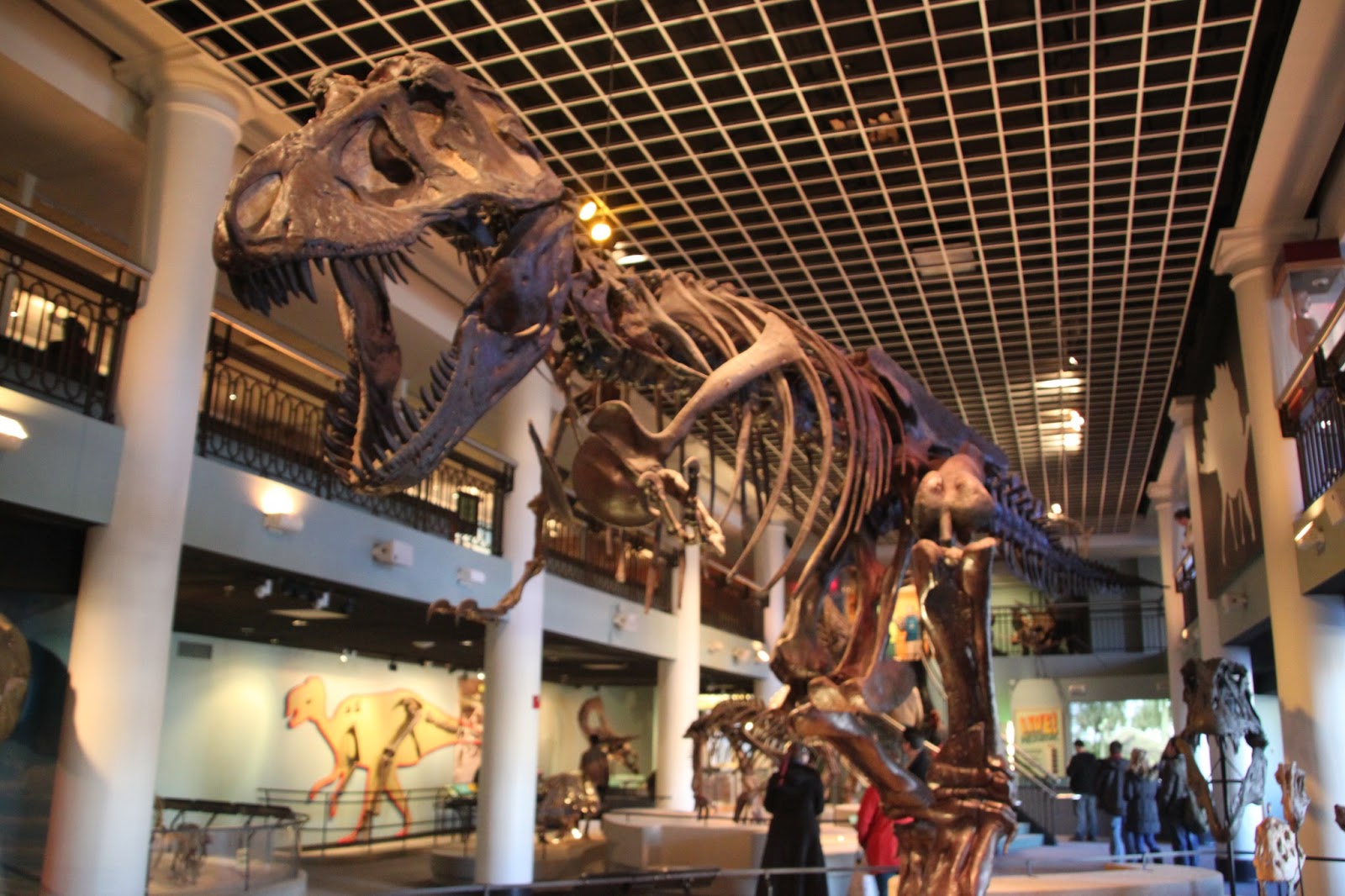 Susan's Disney Family: Academy of Natural Sciences, a great ...