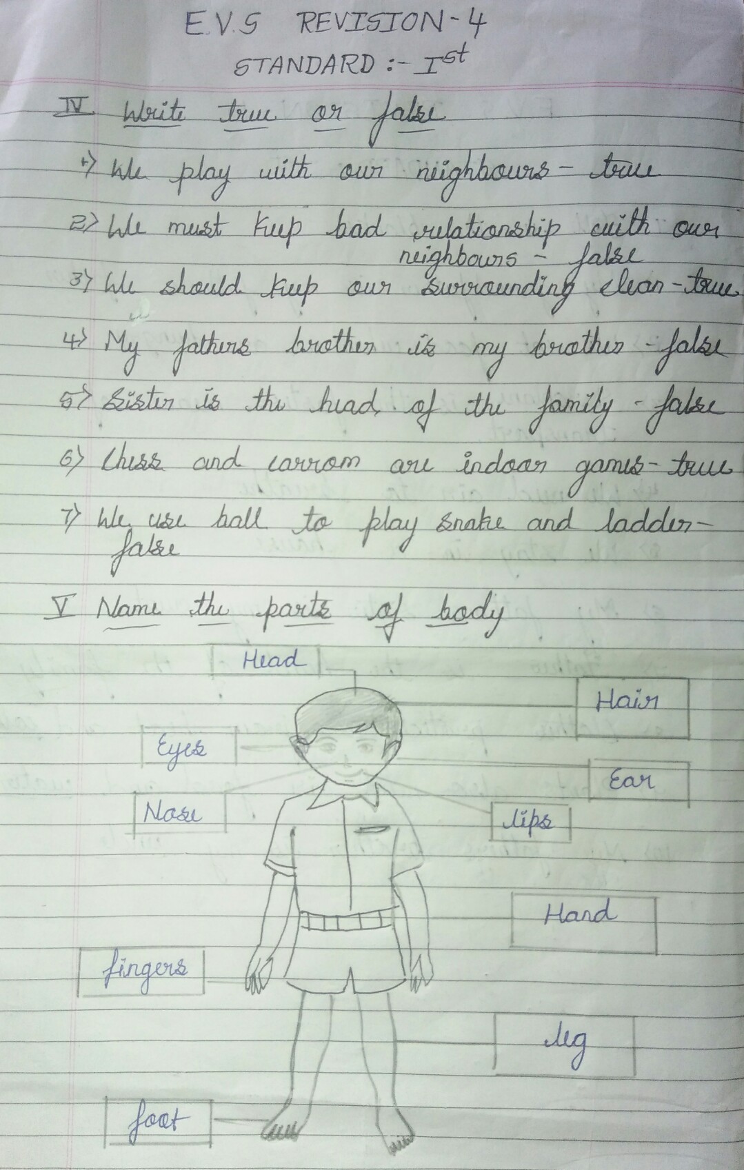 1st Standard EVS Revision 4 Classwork 1st-standard-evs-revision-4-classwork