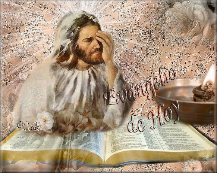 Vidas Santas: Evangelio Noviembre 20, 2014