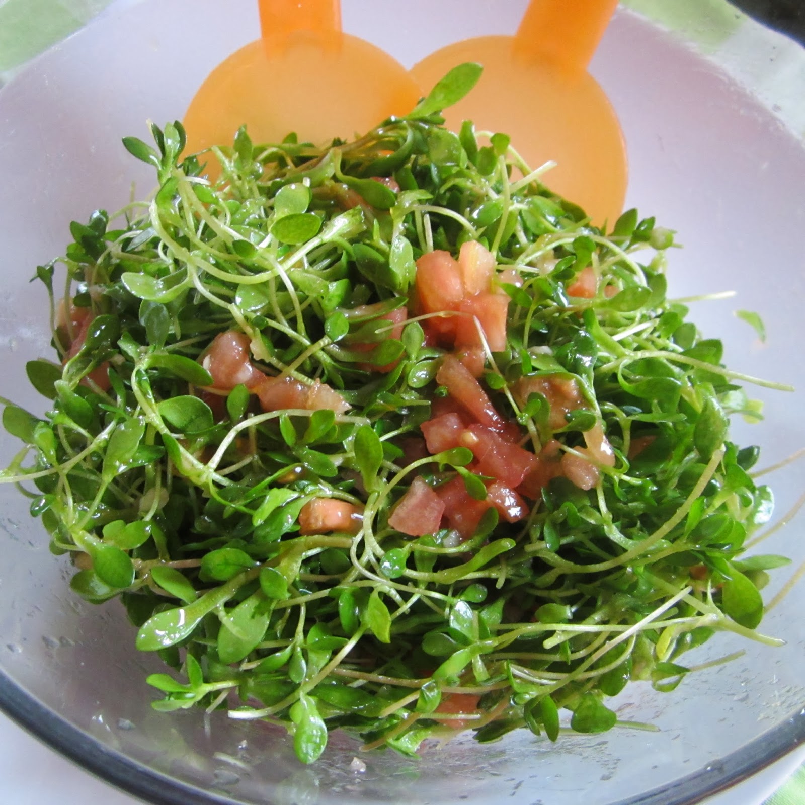 LAS RECETAS DE LA NENA: ENSALADA DE CORUJAS