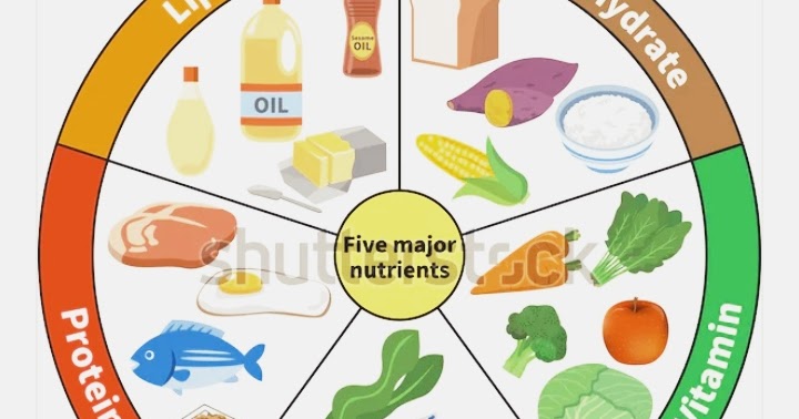 Nutrients | Nutrition