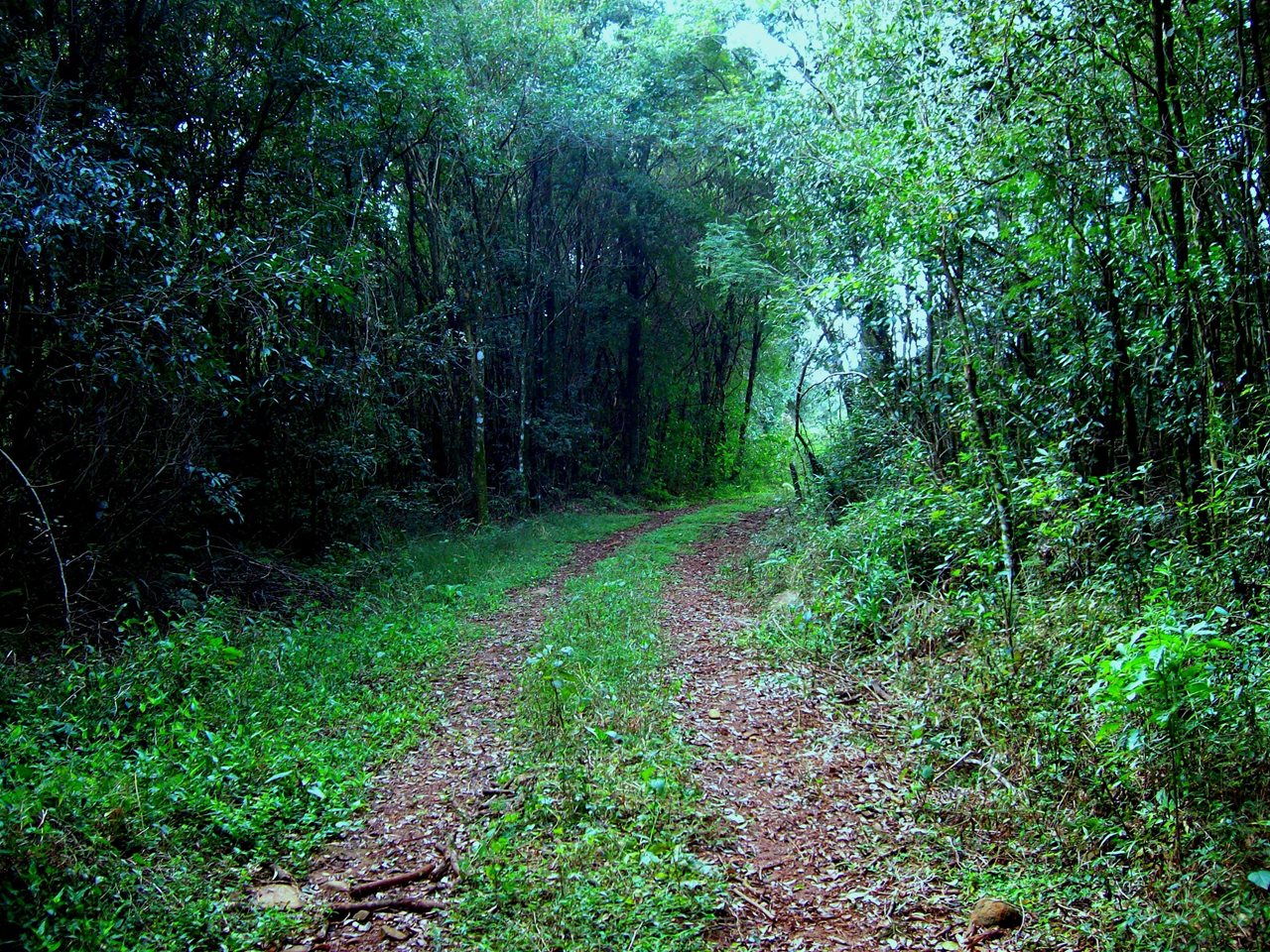 SANTA CATARINA / BRAZIL: VIDEIRA / SANTA CATARINA / BRAZIL (5.500 / 5. ...