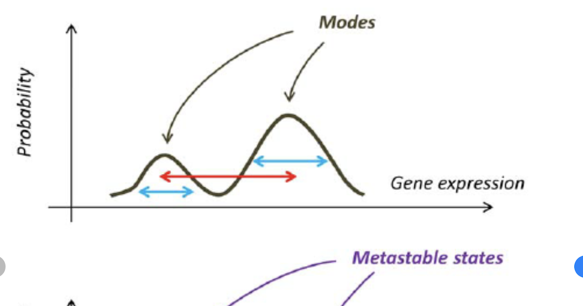 Open Notebook: probability landscape versus waddington landscape