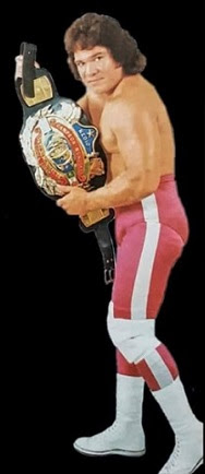 ¿QUIEN ES QUIEN? LUCHA LIBRE