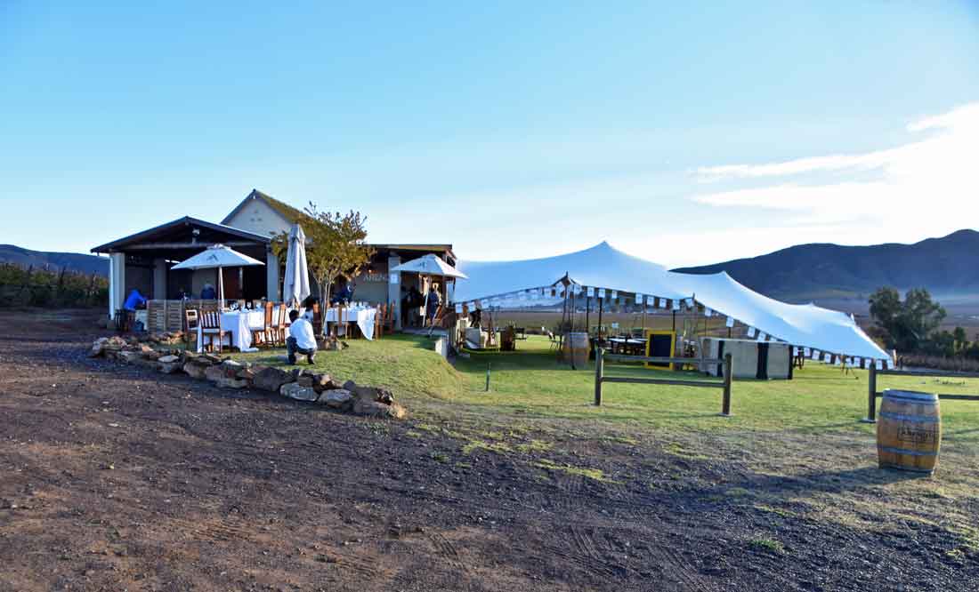 .: Robertson Wine Valley's Wacky Wine Weekend 10. Arendsig