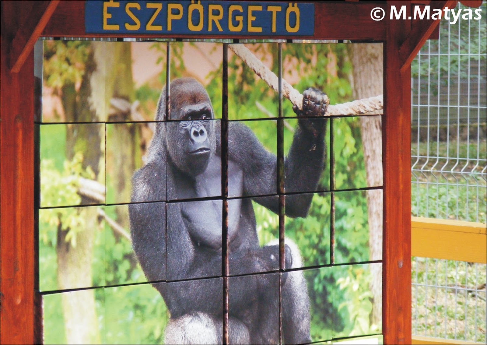 Foto travel: Impresii de călătorie (21) - Sóstó Zoo Nyiregyháza