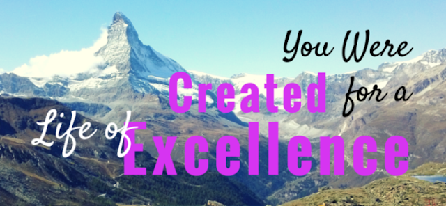 Christ Embassy.org Blog Spot: A LIFE OF EXCELLENCE