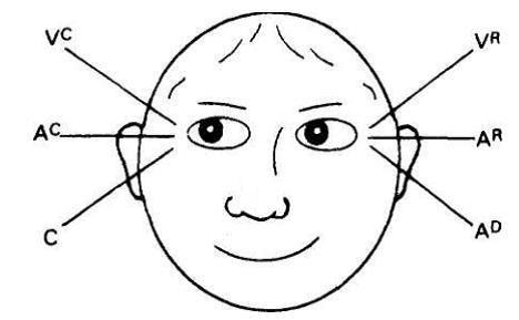 LA FELICIDAD FISICA DE DIOS: -PNL LA COMUNICACIÓN Y LOS TIPOS DE ...