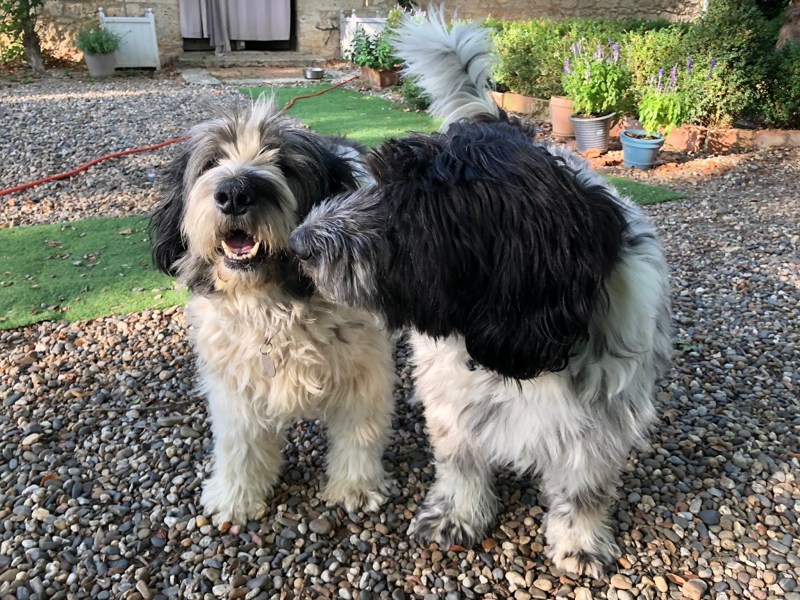 Sophie's absolutely wonderful Scots Adventure .: Fixed and immovable.