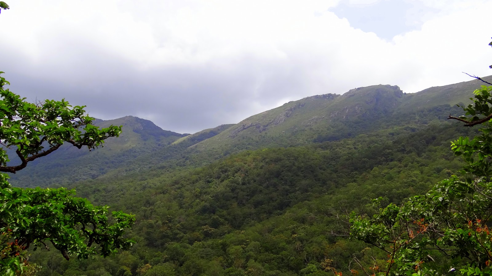 Sathyamangalam Tiger Reserve and Germalam Trek