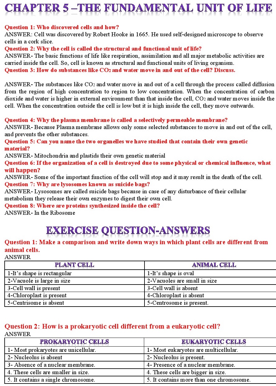 Chapter 5 The Fundamental Unit of Life - Class 9