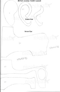 DIY Project by nicekazi : Step by step how to make 3D Human Ear Model ...