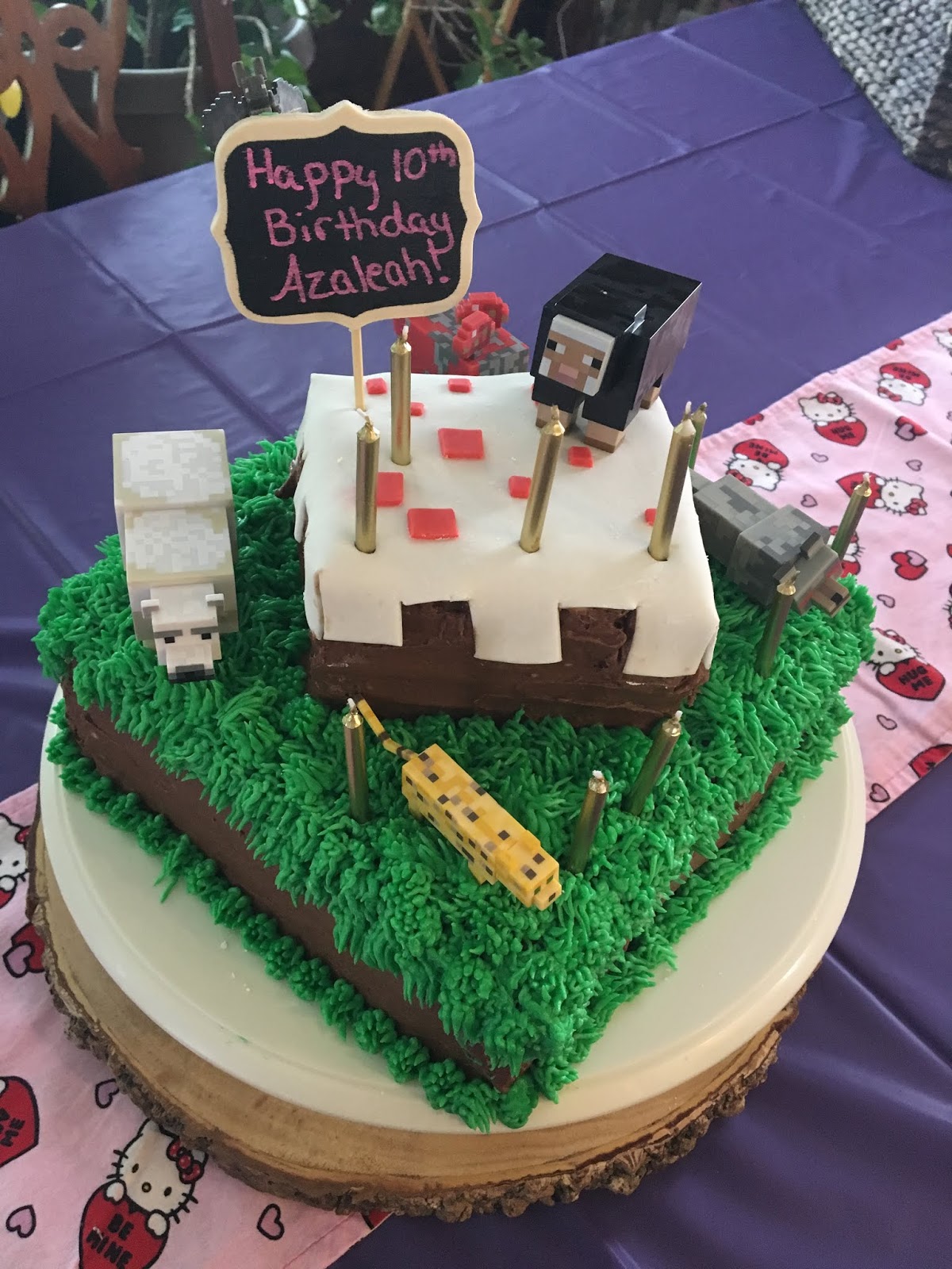 Cakes and Bakes: Minecraft Cake / Azaleah's 10th Birthday