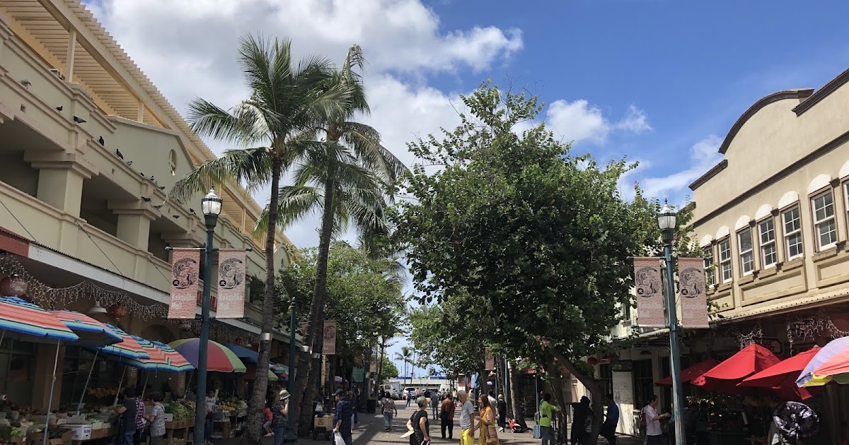 The Search for Look Funn