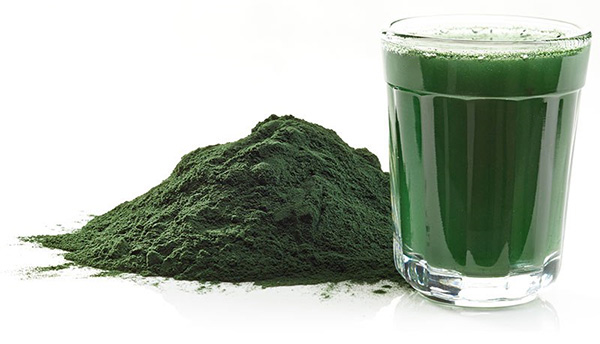 ¿Que es la Espirulina y para que sirve? - Equipo Embajadores DXN