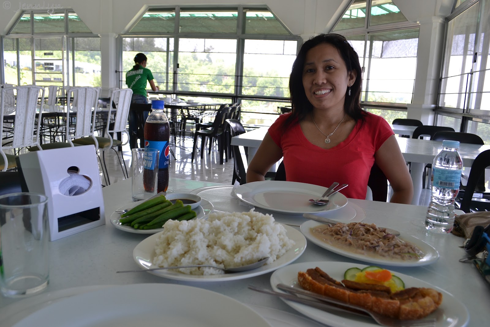 Destination Philippines: The Restaurant: Garin Farm, San Joaquin, iloilo