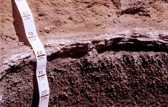 April Edition - Endopedon