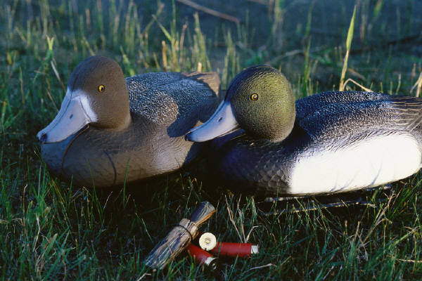 Vocabulary Vixens: SAT Word of the Day: Decoy