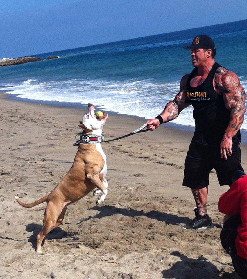 Muscle, Muscle, Muscle: Muscle