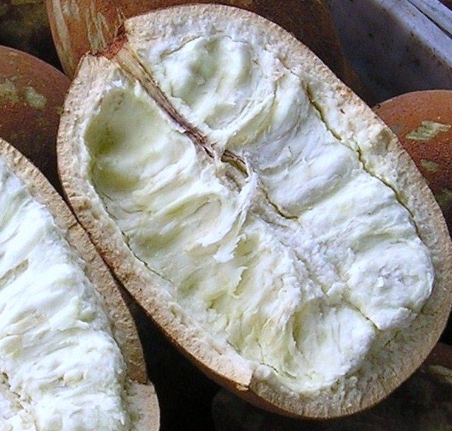 Benefícios do Açaí para a Saúde: Cupuaçu benefícios