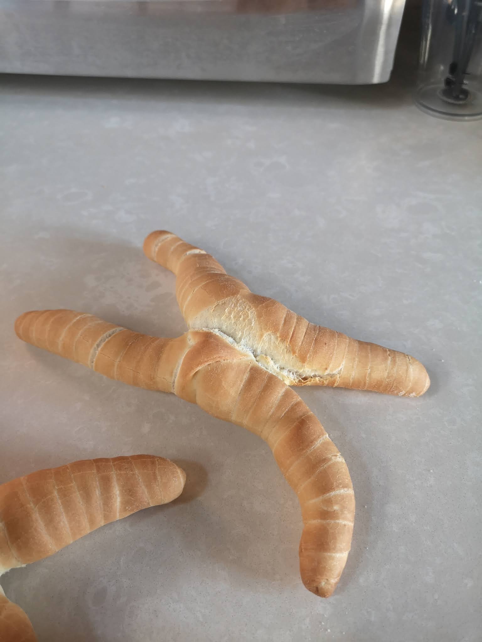 Pane di pasta dura coppia ferrarese