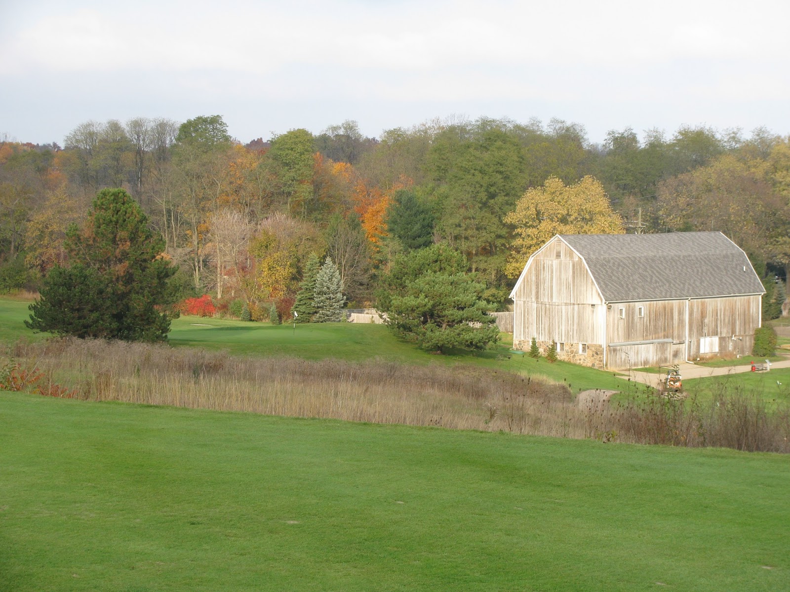 Tree Town Turf Guy: Barn Painting