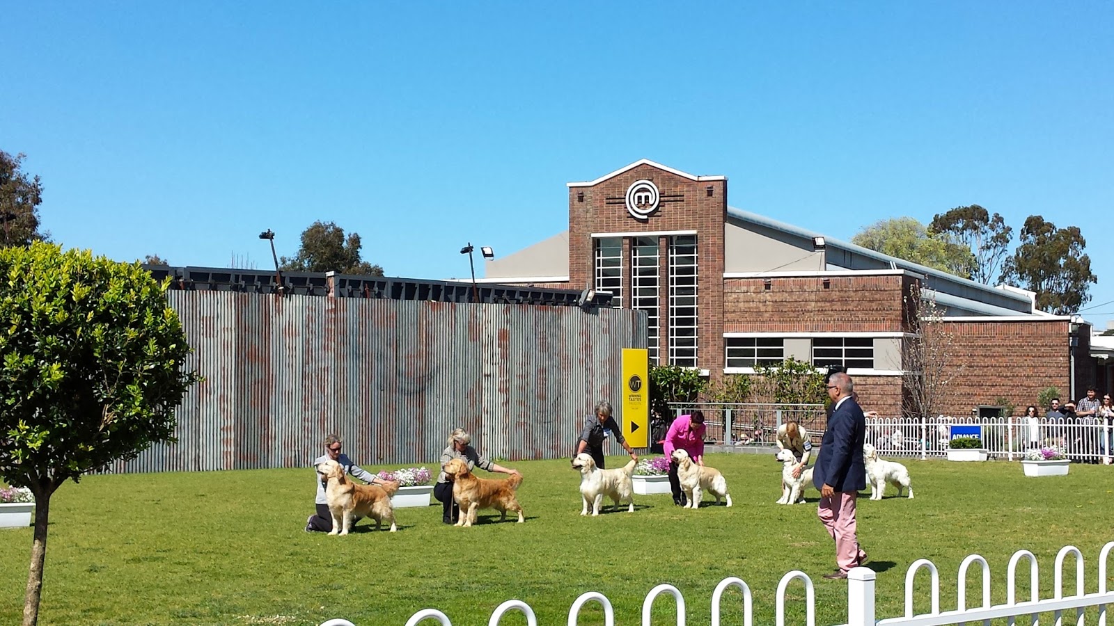 RDO Melbourne: Royal Melbourne Show