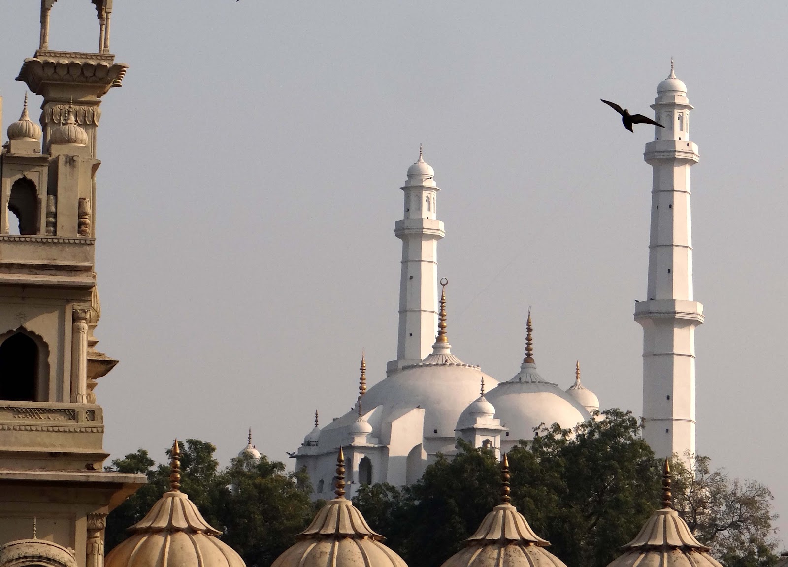 Footloose: 14. Back to the roots: A trip to Lucknow 3