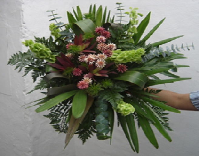 conociondo la naturaleza del guainia: FLOR DE INIRIDA