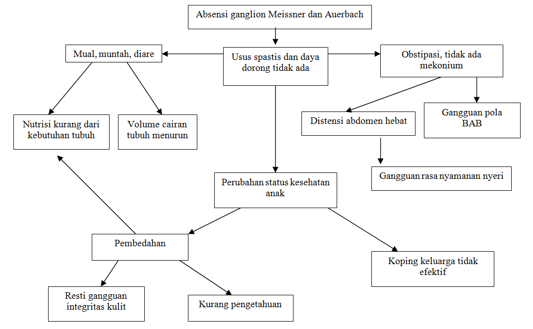 Askep Hirschsprung lengkap - askepdb.blogspot.com