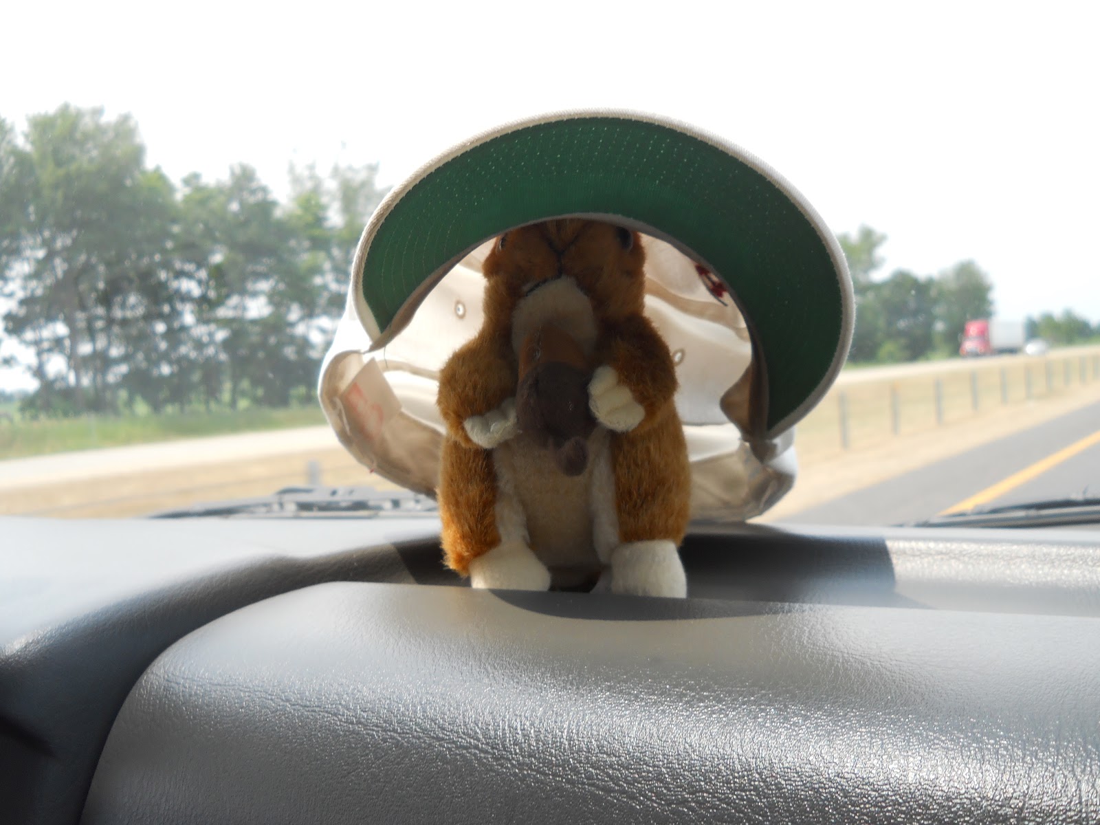 Roeper Alumni Grand Tour