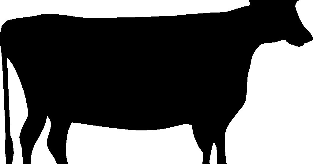 Cow silhouette