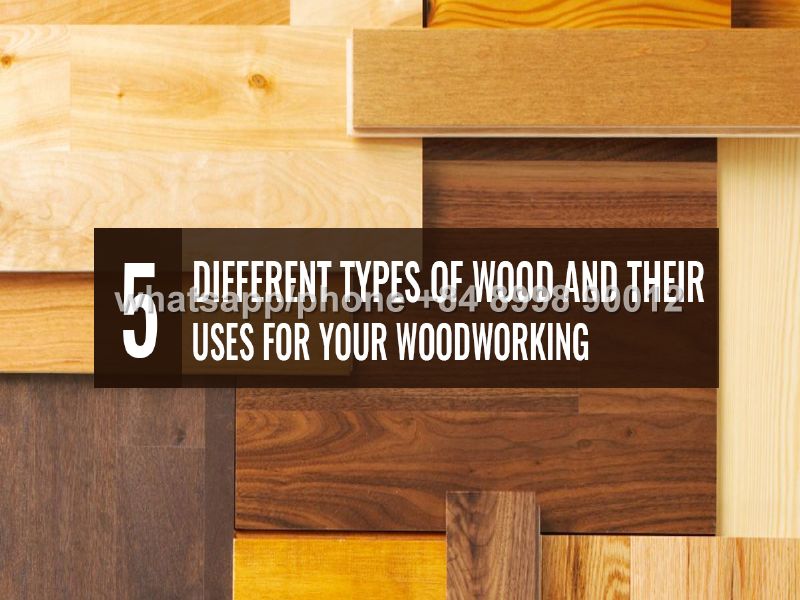 Different Types Of Wood And Their Uses