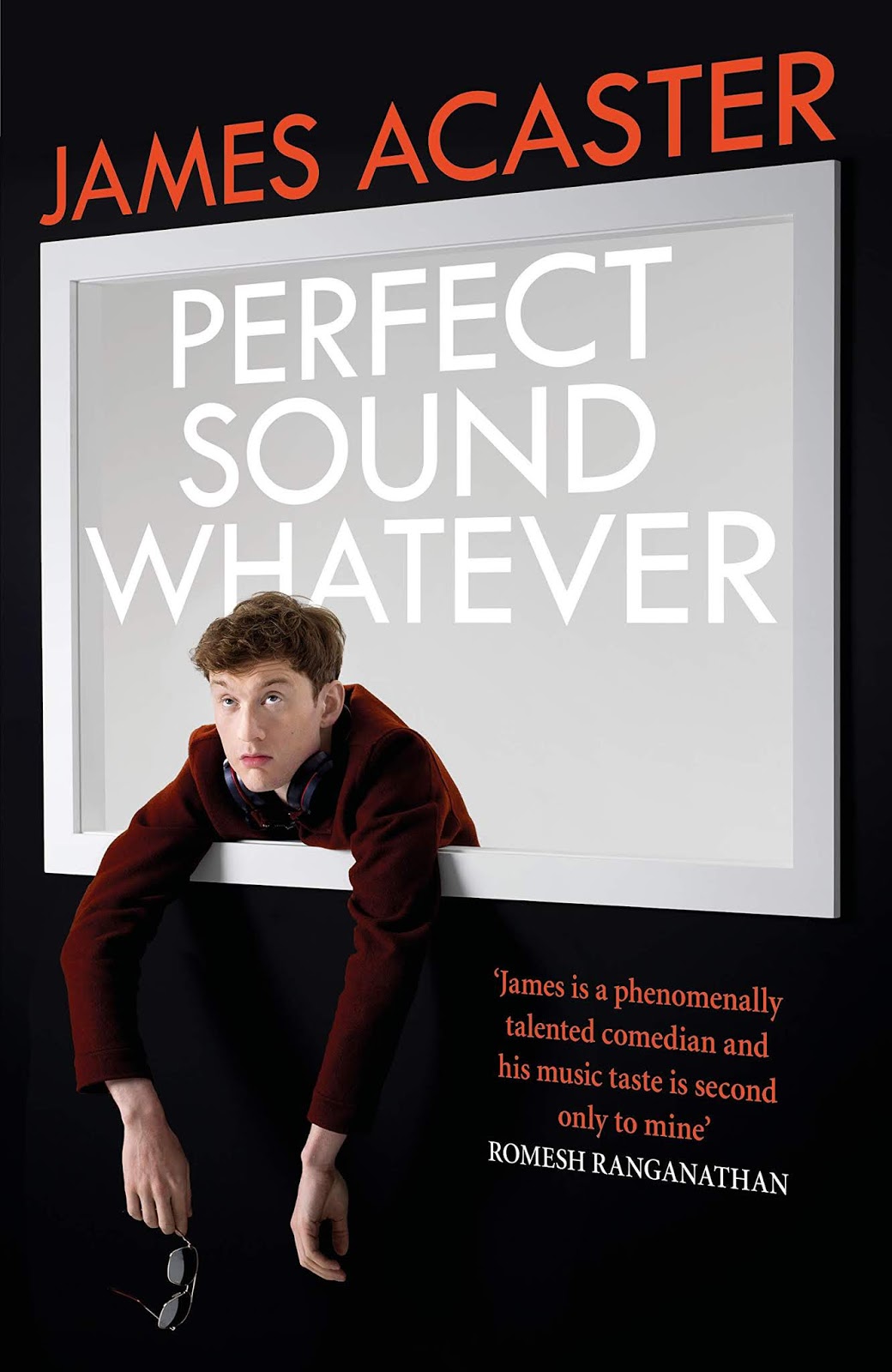 Colin’s Punk Rock World: Book Review: Perfect Sound Whatever by James ...