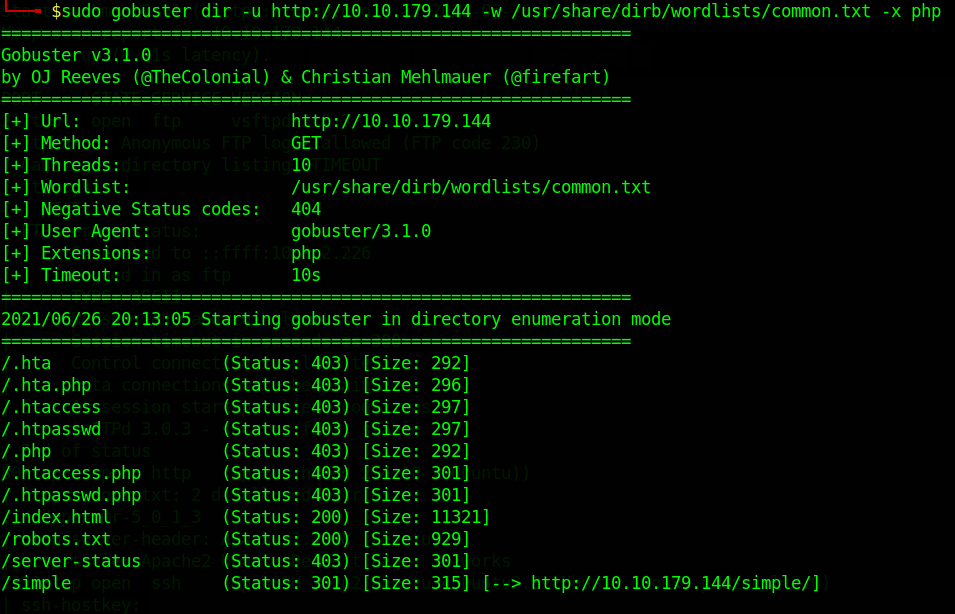 Simple Ctf Tryhackme