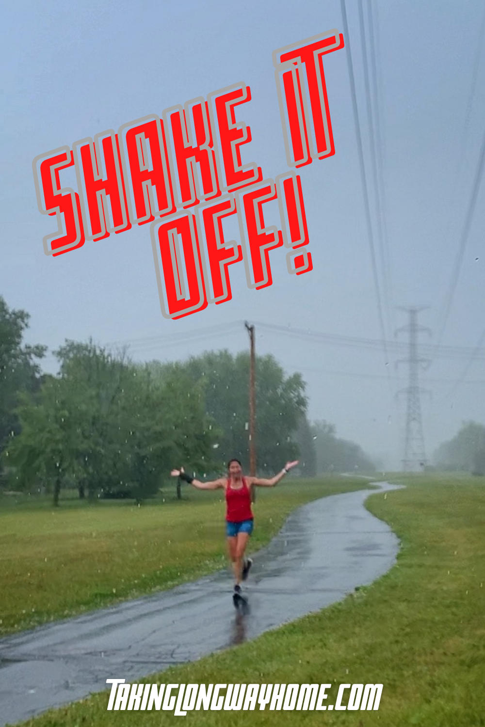 Shake It Off Cover