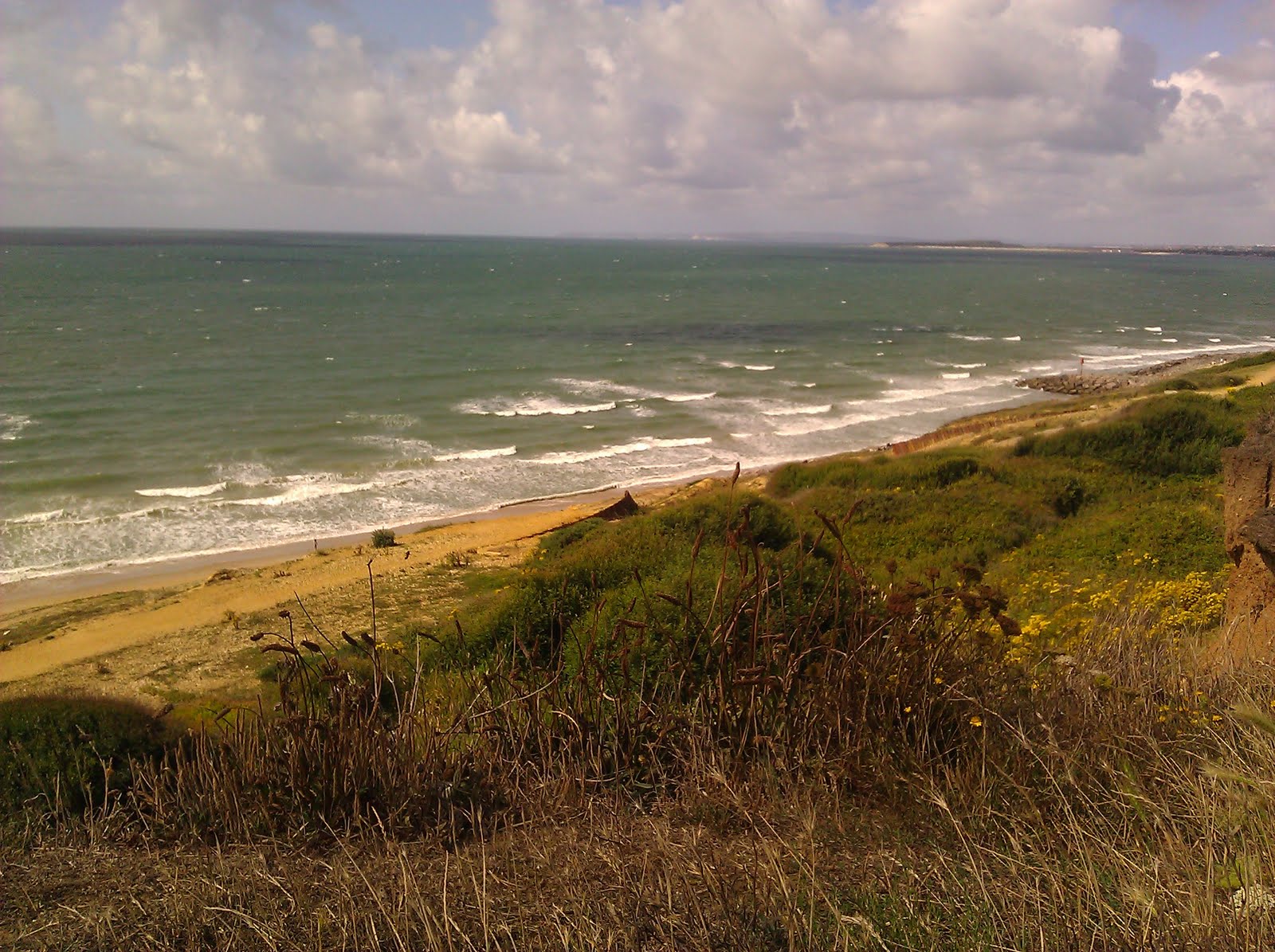 Symbiotic Life: Sunday Morning at New Milton Beach