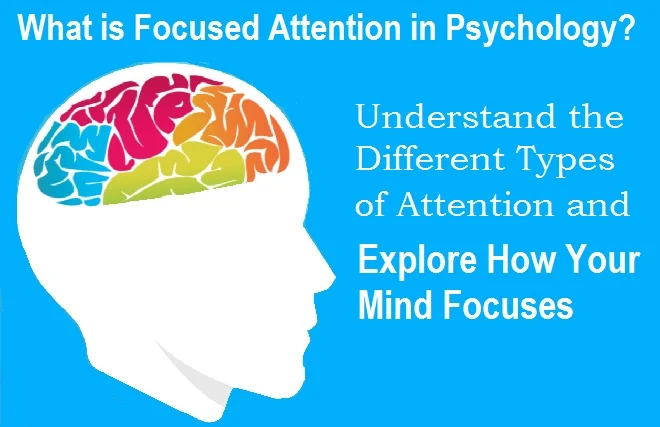What is Focused Attention in Psychology?: Understanding the 4 Types of ...